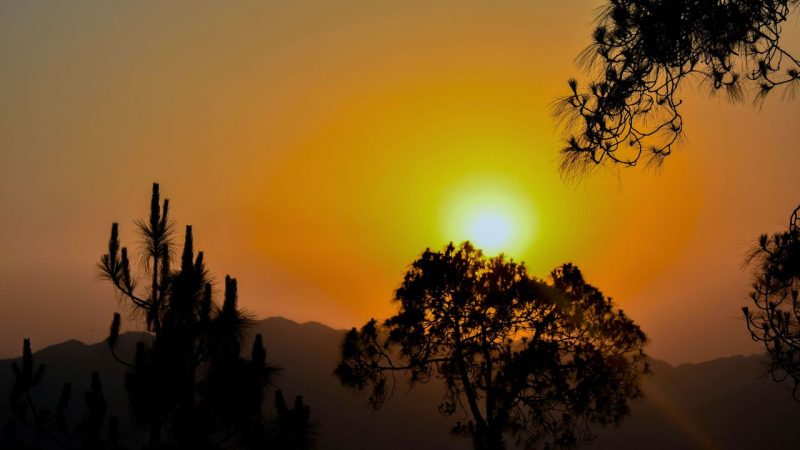 10 Serene Places to Visit in Chail, Himachal Pradesh